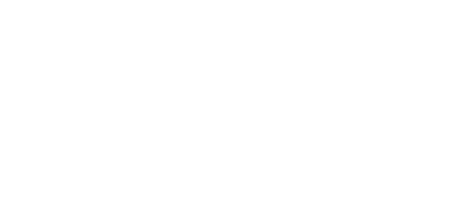 Homepage - Blaise Lanzetta